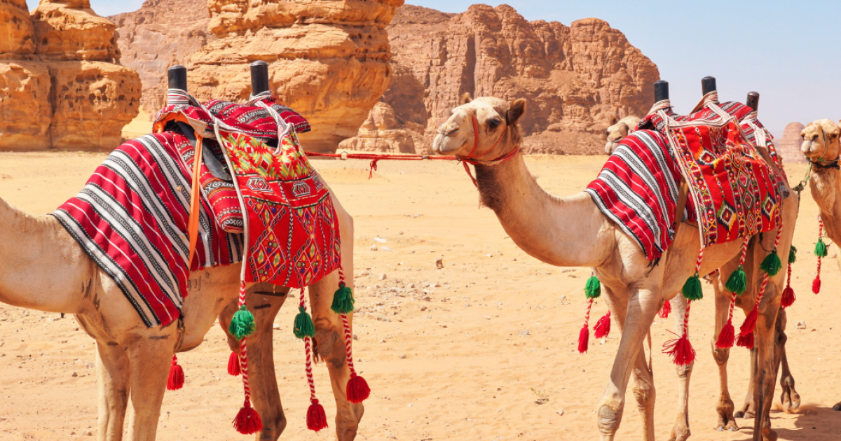 Emigrating to Saudi Arabia: All the important information